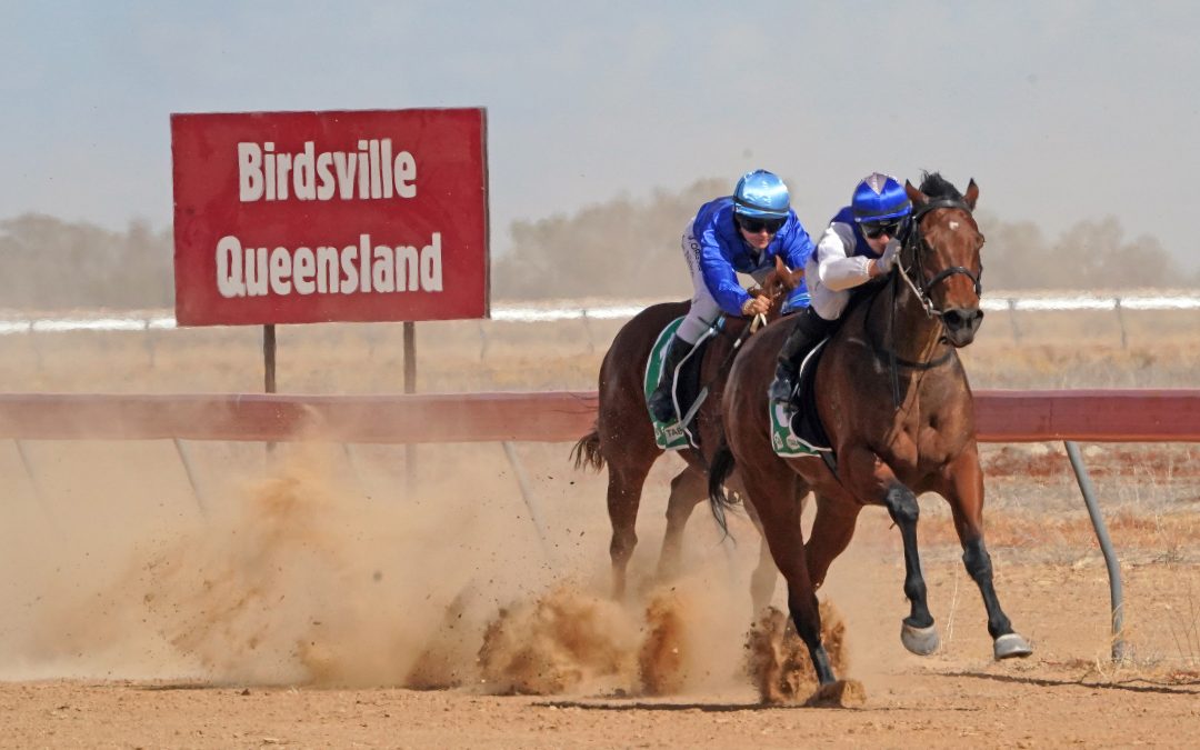 Birdsville Races April 2022 Survey – Birdsville Races